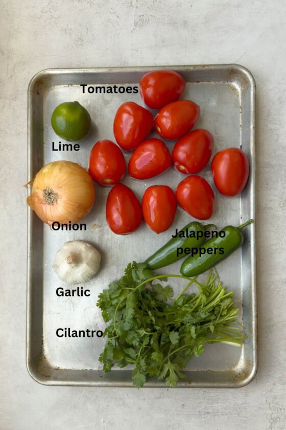 Easy Smoked Salsa (pellet grill recipe) – A Foodcentric Life